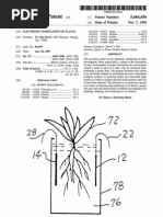 The Violet Ray Book | PDF