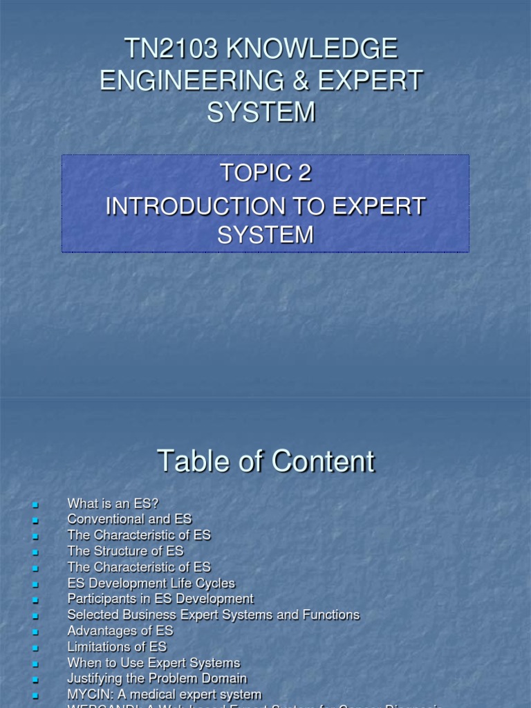 Expert System | PDF | Expert | Software Development Process