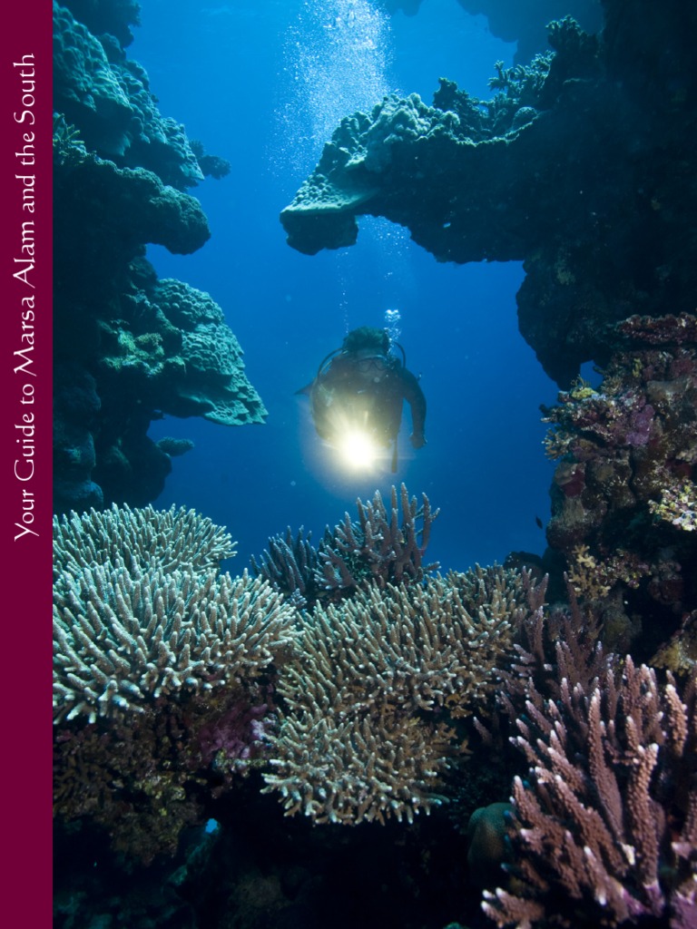Your Guide To Marsa Alam and The South Final | PDF | Coral Reef | Sharks