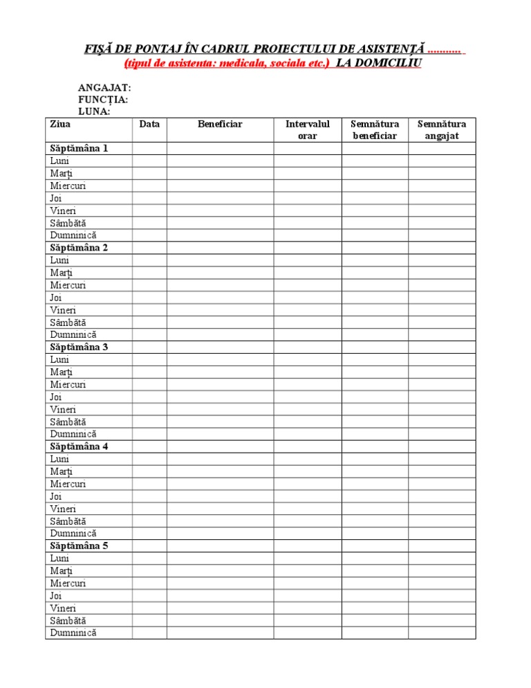 Model Fisa Pontaj a Activitatii