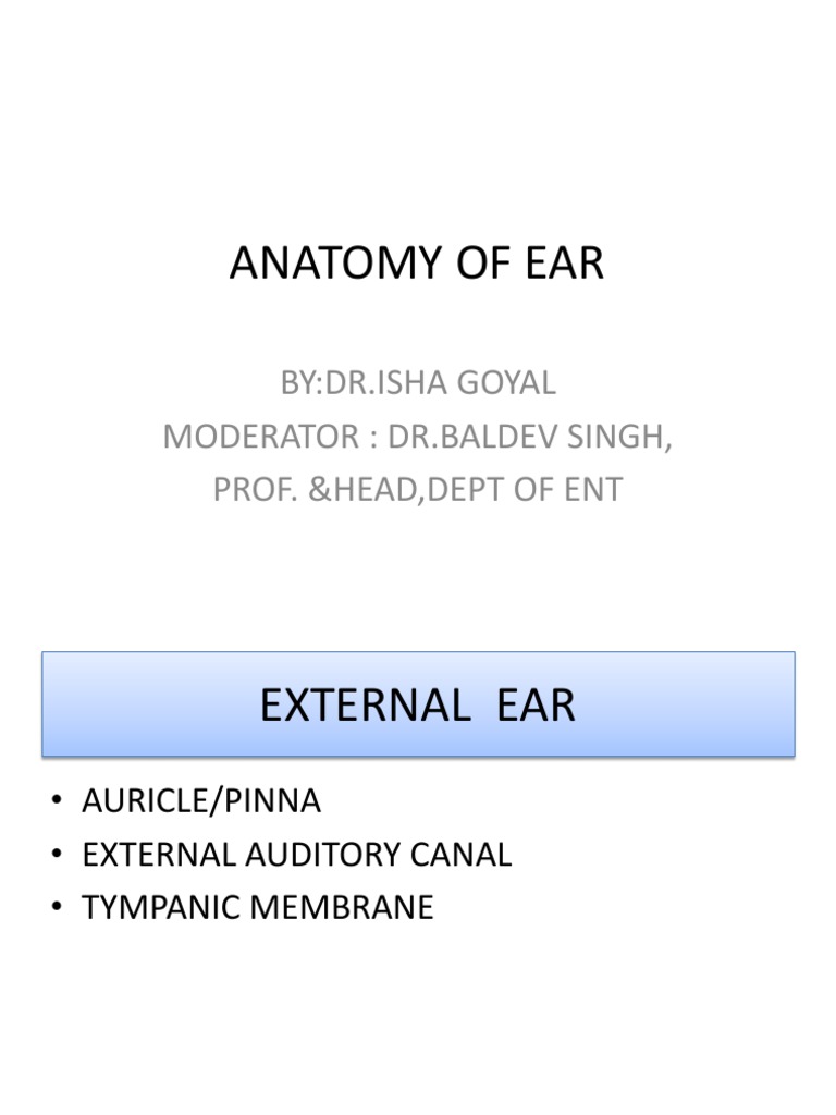 Anatomy of Ear | PDF | Ear | Human Leg