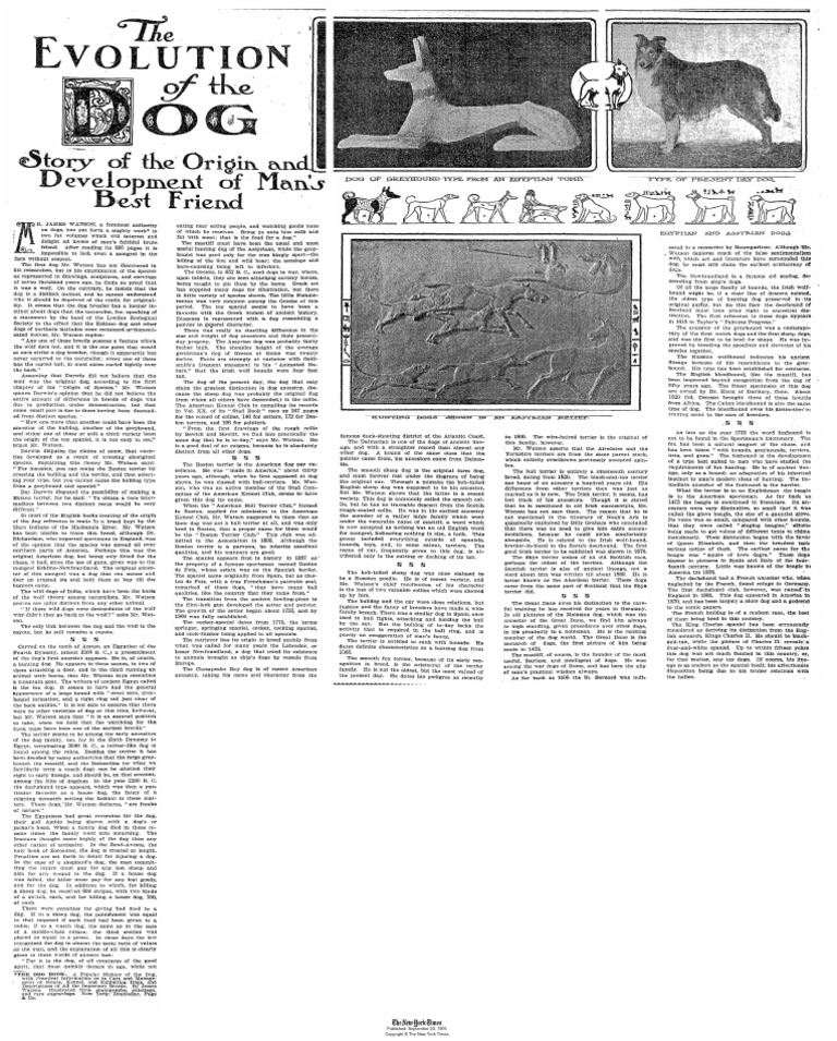 The Evolution of The Dog | PDF