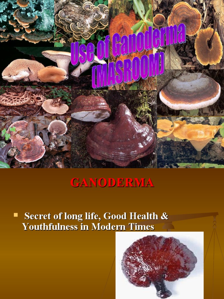 Use of Ganoderma | PDF | Food And Drink | Nutrition
