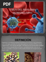 Infografia VPH PDF | PDF | Inmunología | Salud pública