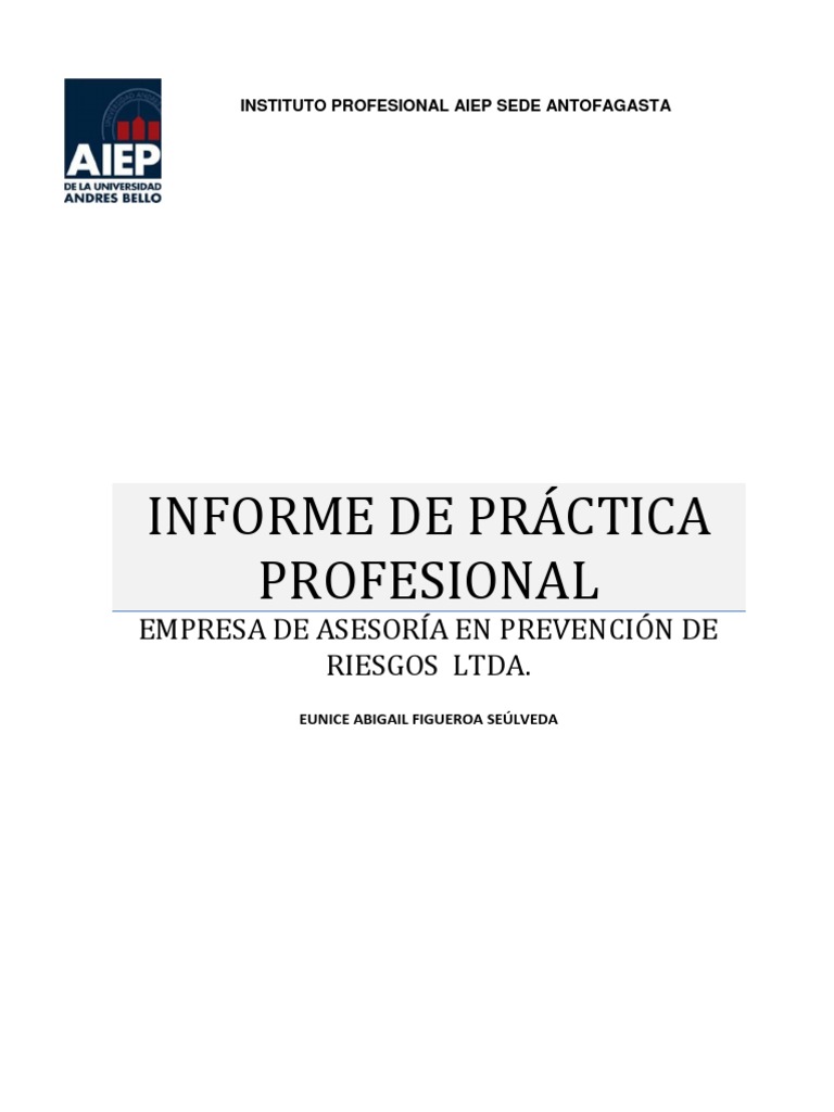 Informe de Práctica Profesional | PDF | Planificación | Recursos humanos