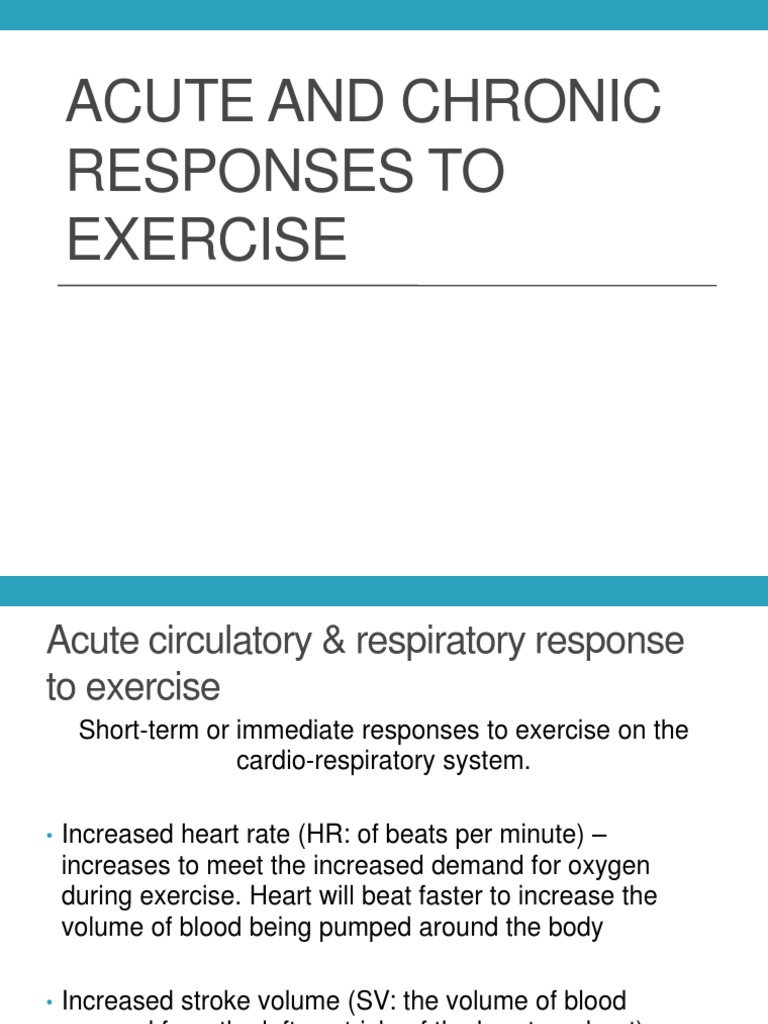 Wk3 Slideshow Acute Responses To Exercise | PDF | Muscle | Respiratory ...