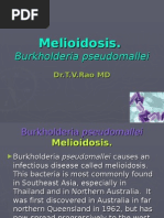 Biochemical Tests for Pseudomonas aeruginosa | PDF | Pseudomonas ...