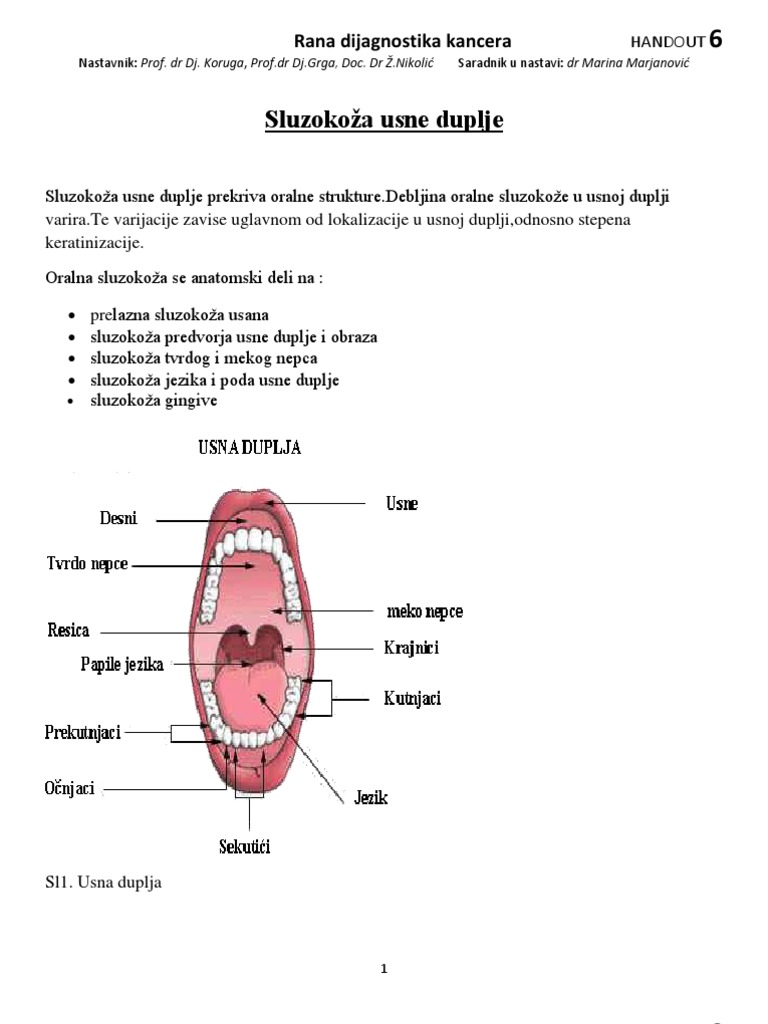 Tkiva-oralna-sluzokoza