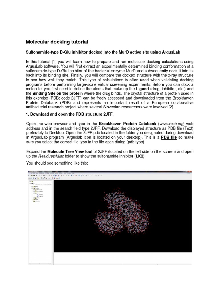 Arguslab Navodila | PDF | Docking (Molecular) | Protein Data Bank