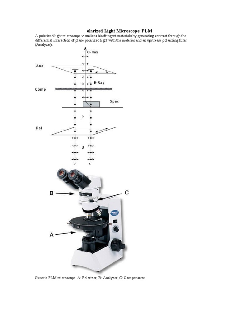 Polarized Light Microscope | Polarization (Waves) | X Ray