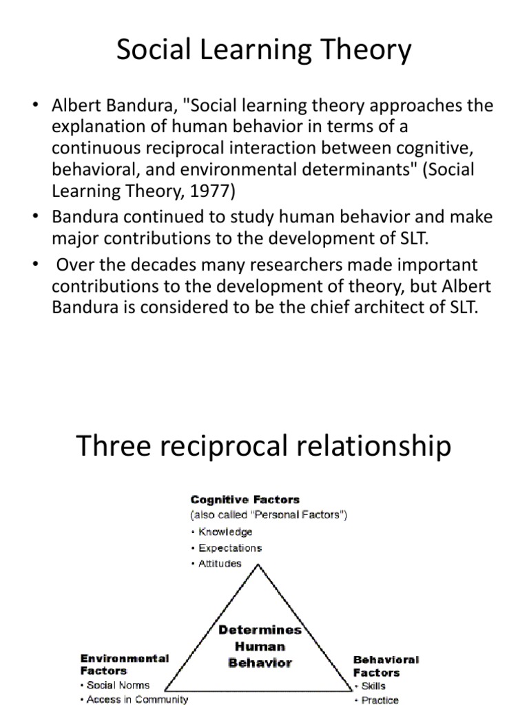 Social Learning Theory Raji | PDF