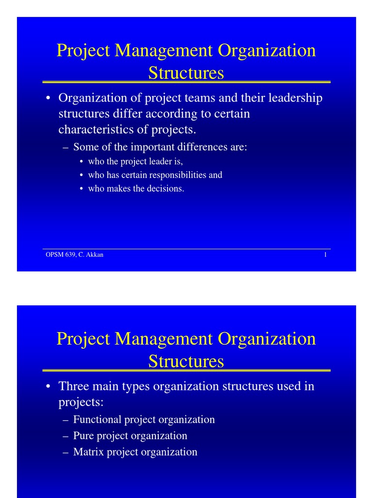 Project Management Organization Structures | PDF | Organizational ...