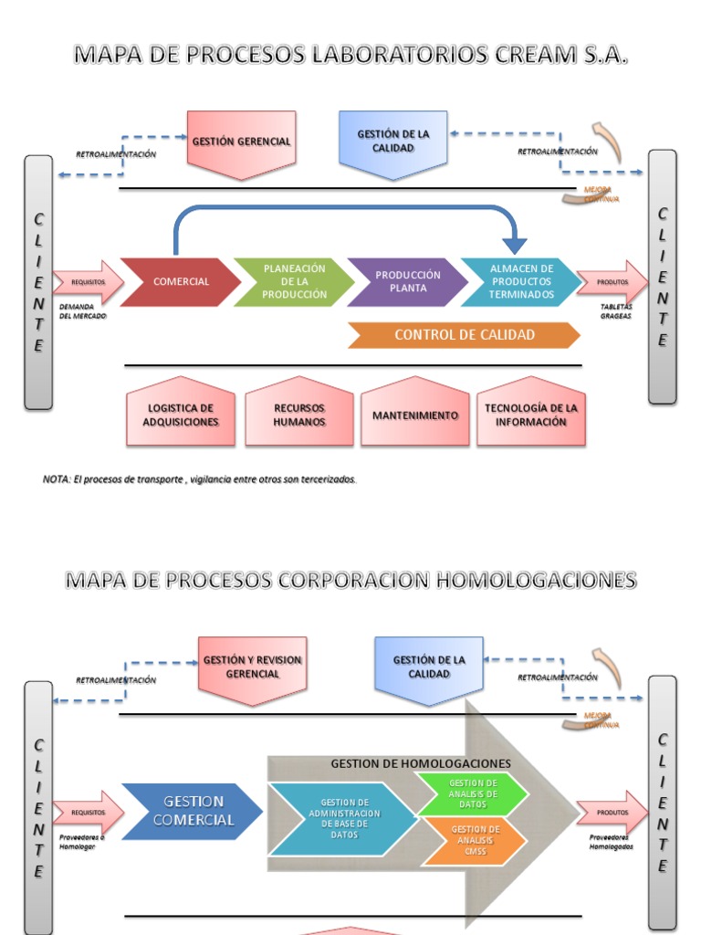 Mapa de Procesos Ejemplos | PDF