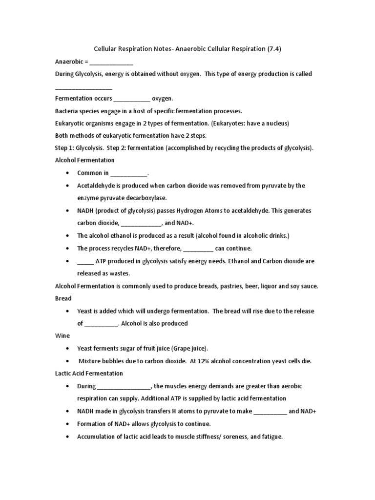 Anaerobic Cellular Respiration Overview | PDF | Fermentation | Cellular ...