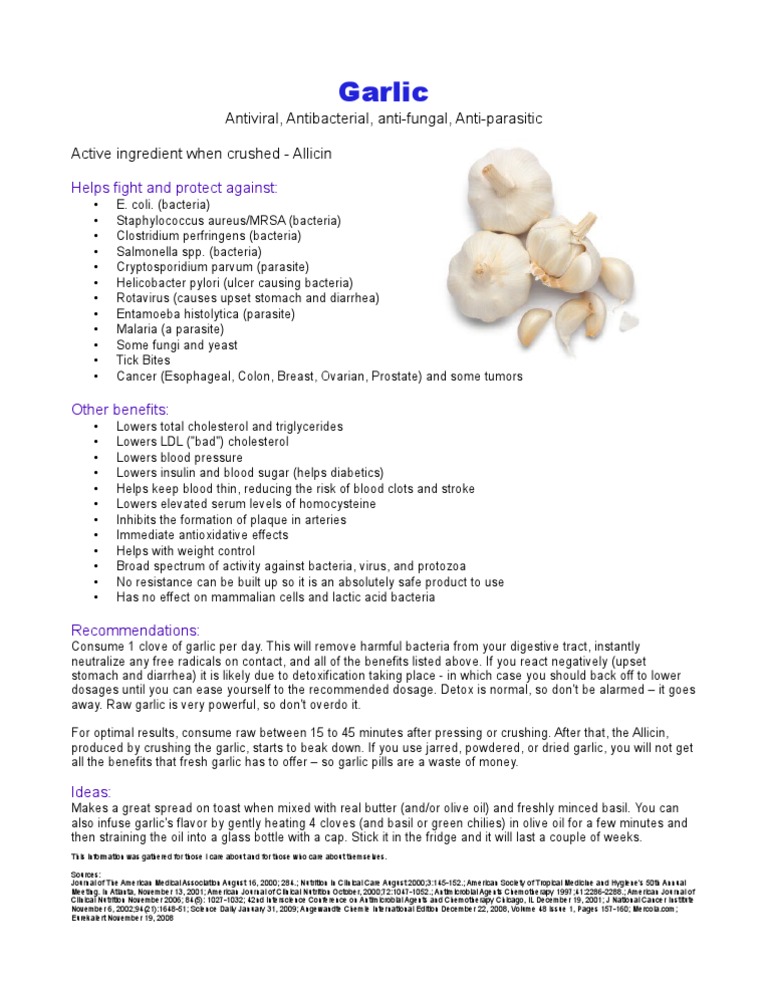 Garlic | PDF | Garlic | Bacteria