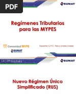 Guía Pago Fácil Nuevo RUS - F 1611 | PDF | Economias