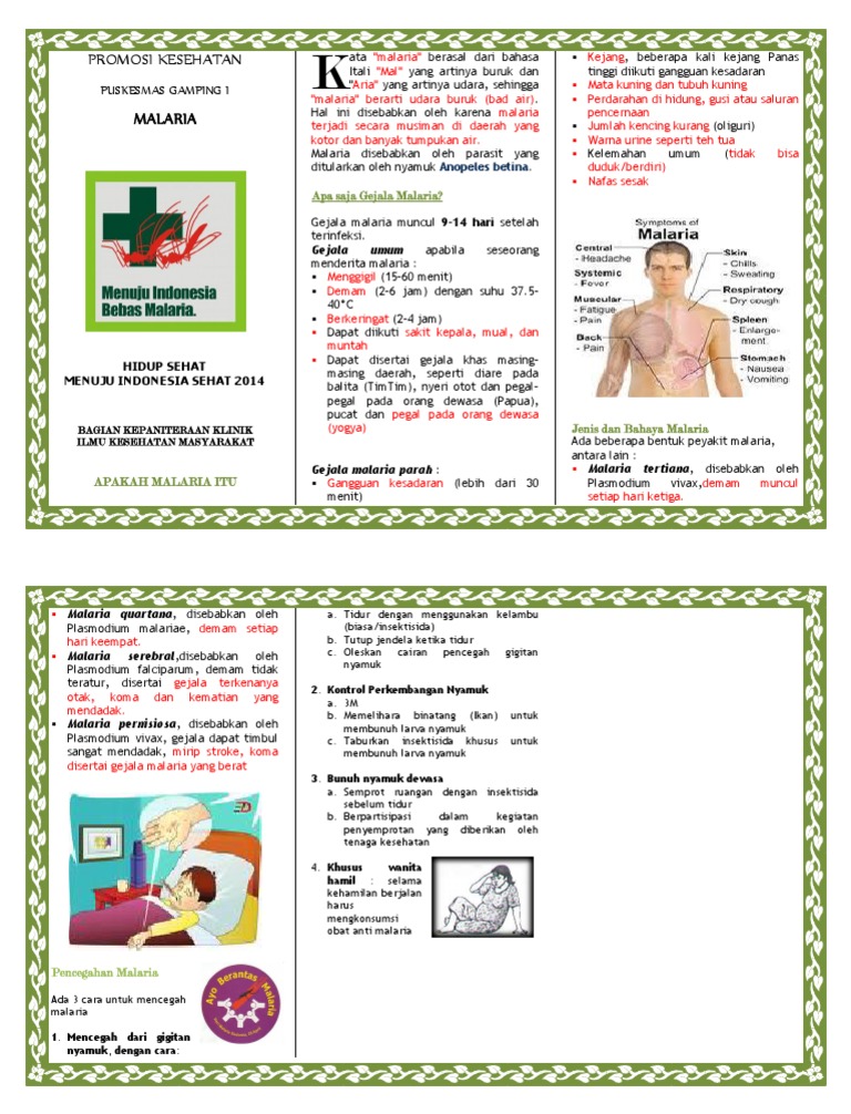 Leaflet Malaria | PDF