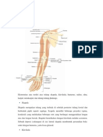Anatomi dan Fisiologi Aksila | PDF