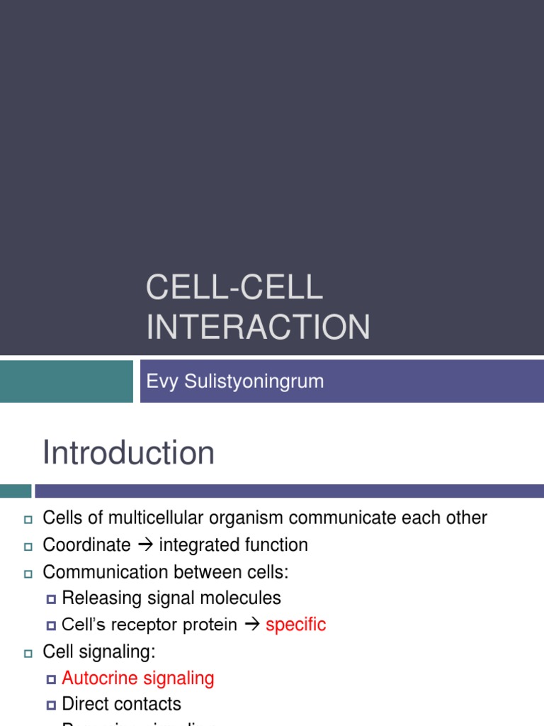 Cell Cell Interaction | PDF | Cell Signaling | Cell Membrane