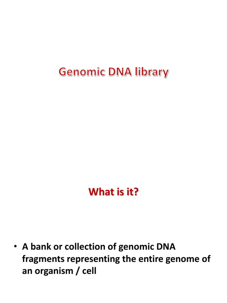 Genomic DNA Library | PDF | Molecular Cloning | Plasmid