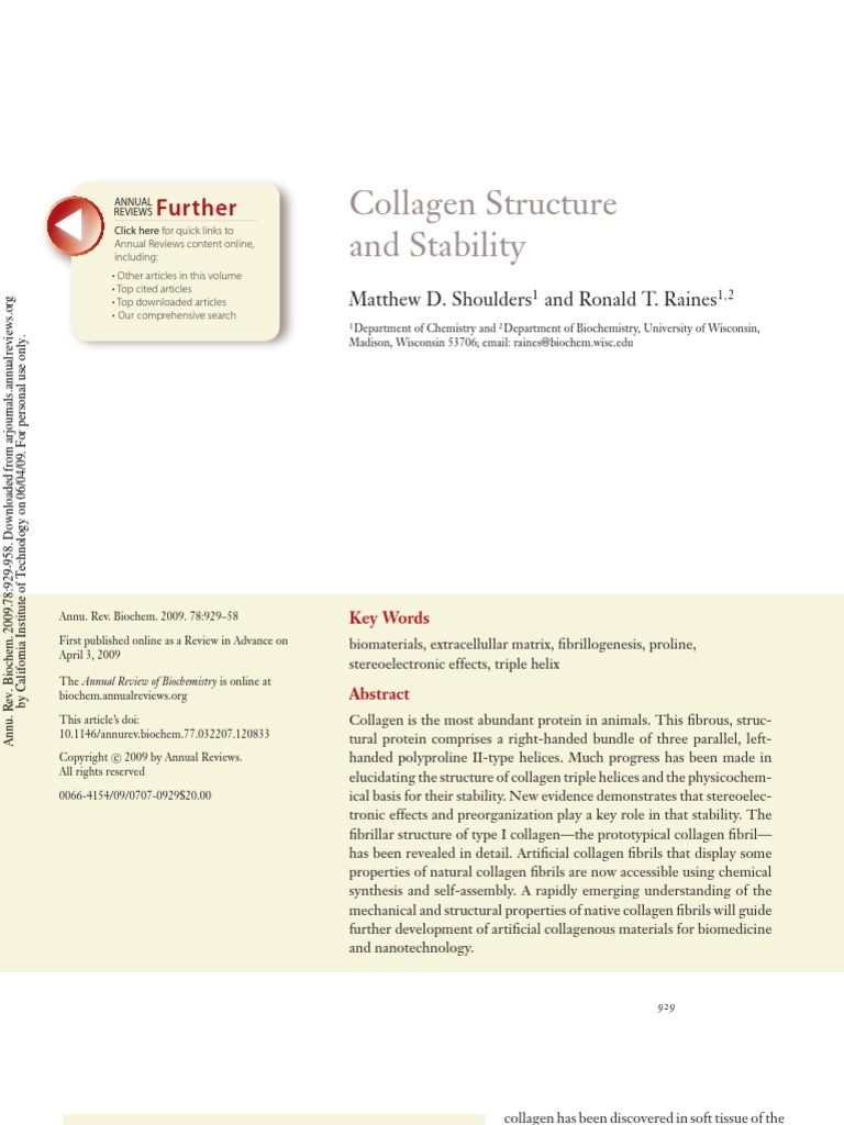 Collagen Structure | PDF | Proline | Collagen
