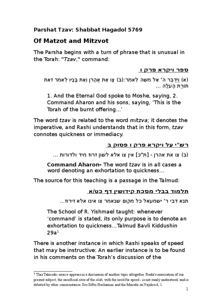 Parshat Tzav 5769 Edited | PDF