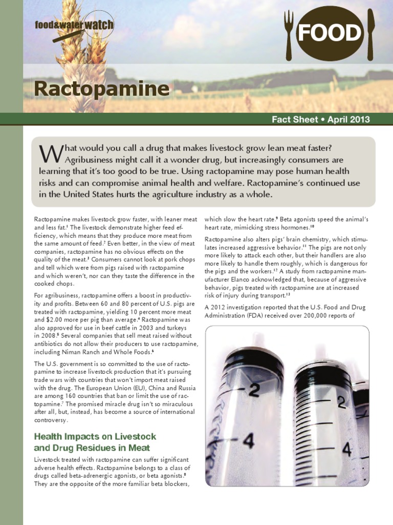 Ractopamine | PDF | Food Safety | Meat