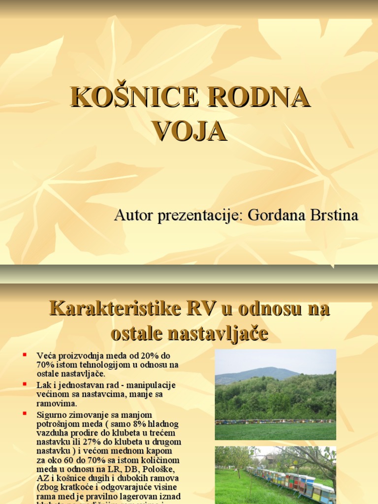 Košnice Rodna Voja | PDF