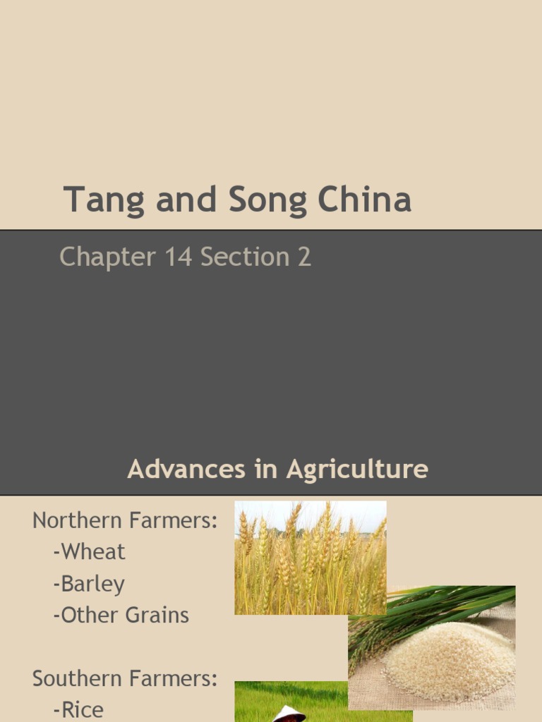 Chapter 14 - China Sections 2 3 | PDF | Tang Dynasty | Confucianism