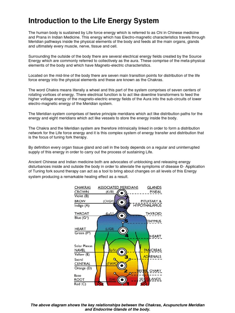 Introduction To The Life Energy System | PDF | Resonance | Pain