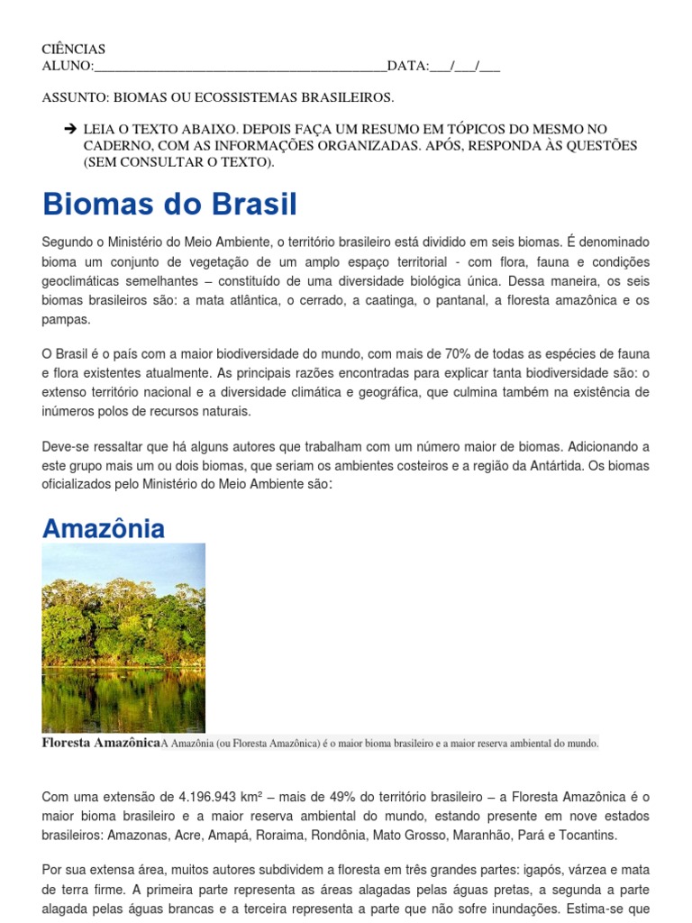 biomas brasileiros | Floresta Amazônica | Florestas
