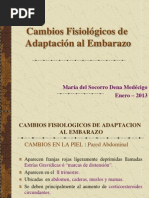 Sigmoidectomía Laparoscópica: Técnica y Equipo | PDF | Intestino grueso ...