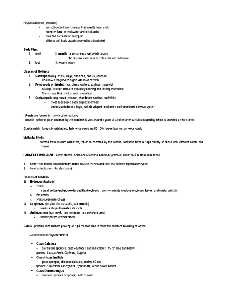 Echinoderms, Cnidarians, Mollusks and Poriferans | PDF | Mollusca | Sponge