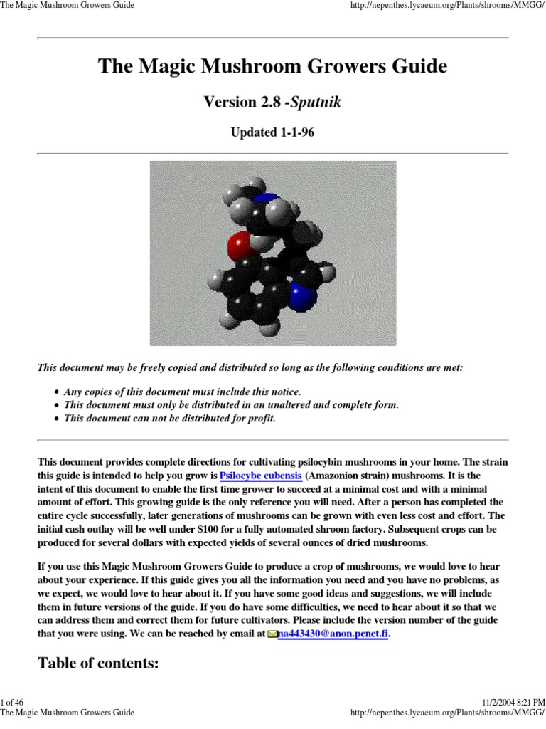 Magic Mushrooms Growers Guide | PDF | Mushroom | Sterilization ...