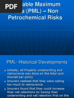 Calculating Probable Maximum Loss (PML) | PDF | Reinsurance | Insurance