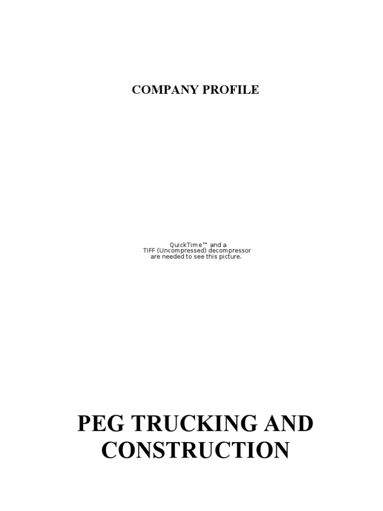 PEG Company Profile | PDF | Industries | Business