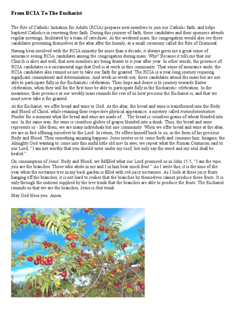 RCIA and The Eucharist | PDF | Eucharist | Mass (Liturgy)