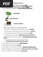 DNA Mutations Lab Answer Key | PDF | Genetic Code | Point Mutation