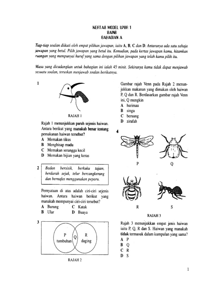 Kertas Model Upsr 1 | PDF
