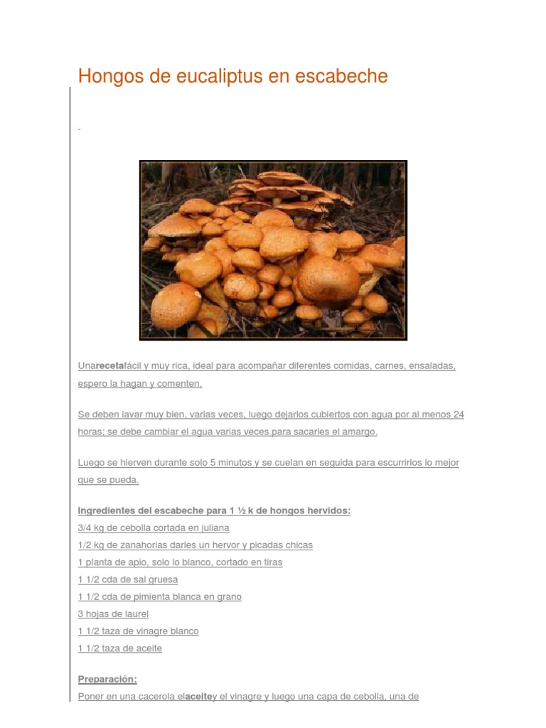 Hongos en Escabeche | PDF