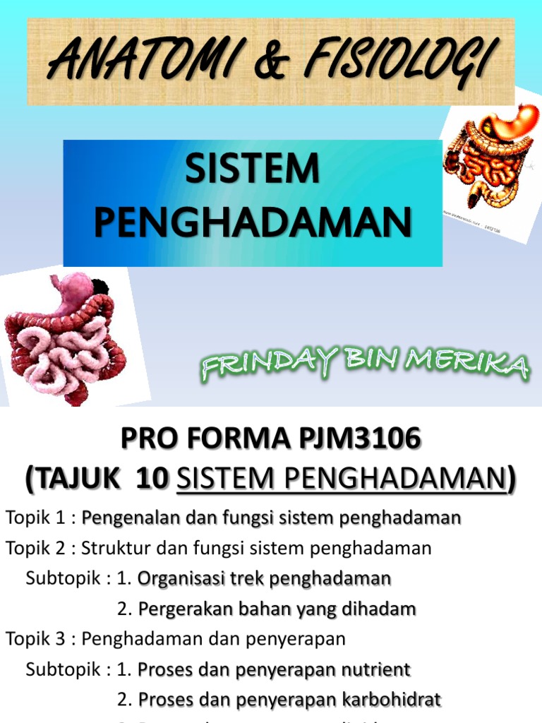 Sistem Penghadaman | PDF