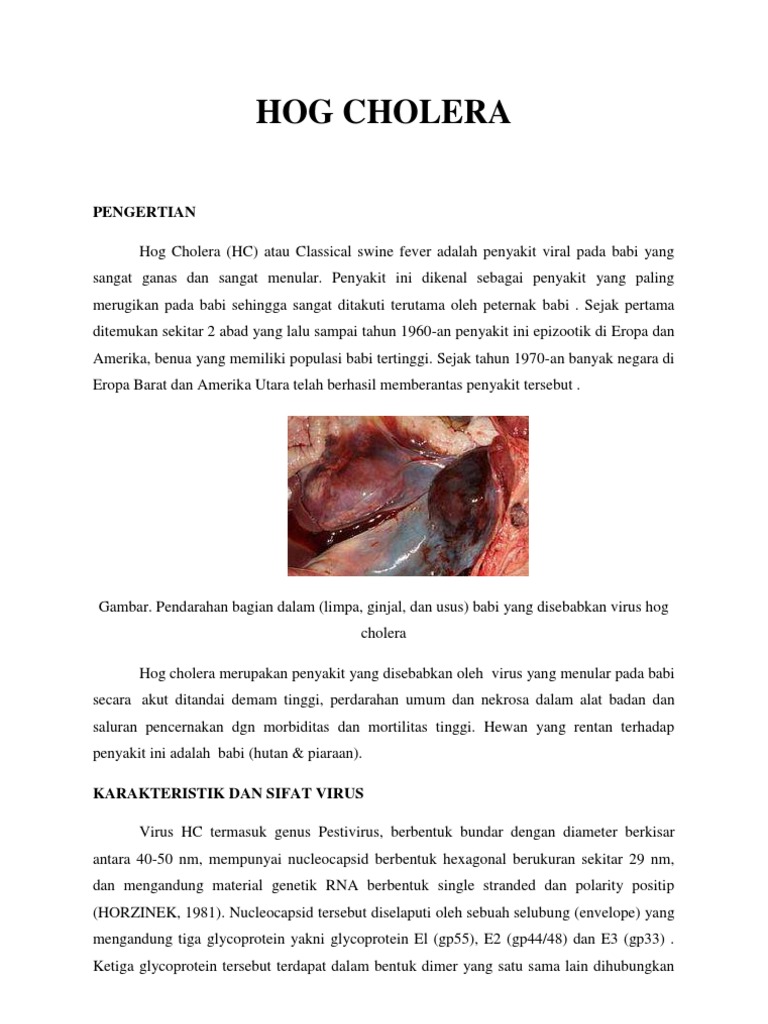"Hog Cholera: Penyakit Viral Mematikan pada Babi" | PDF