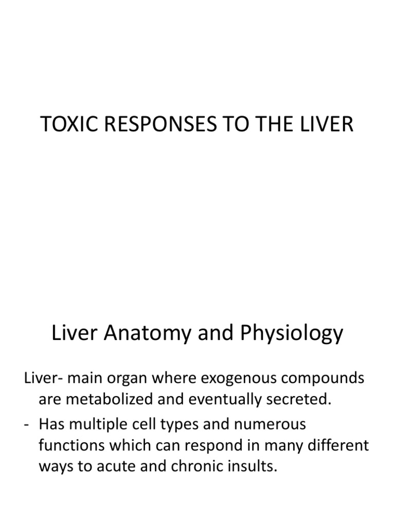 Toxic Responses to the Liver | Hepatocyte | Liver