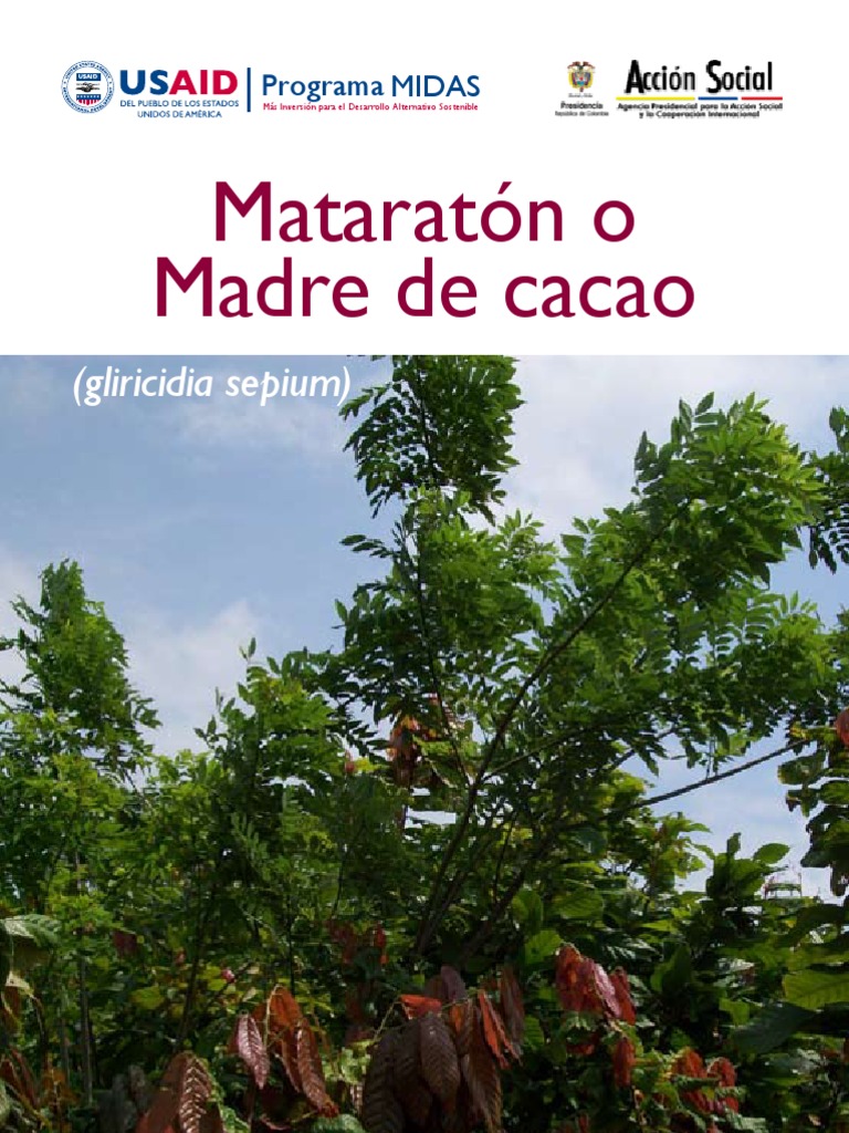 Matarraton o Madre de Cacao PDF | PDF | Agricultura | Fertilizante