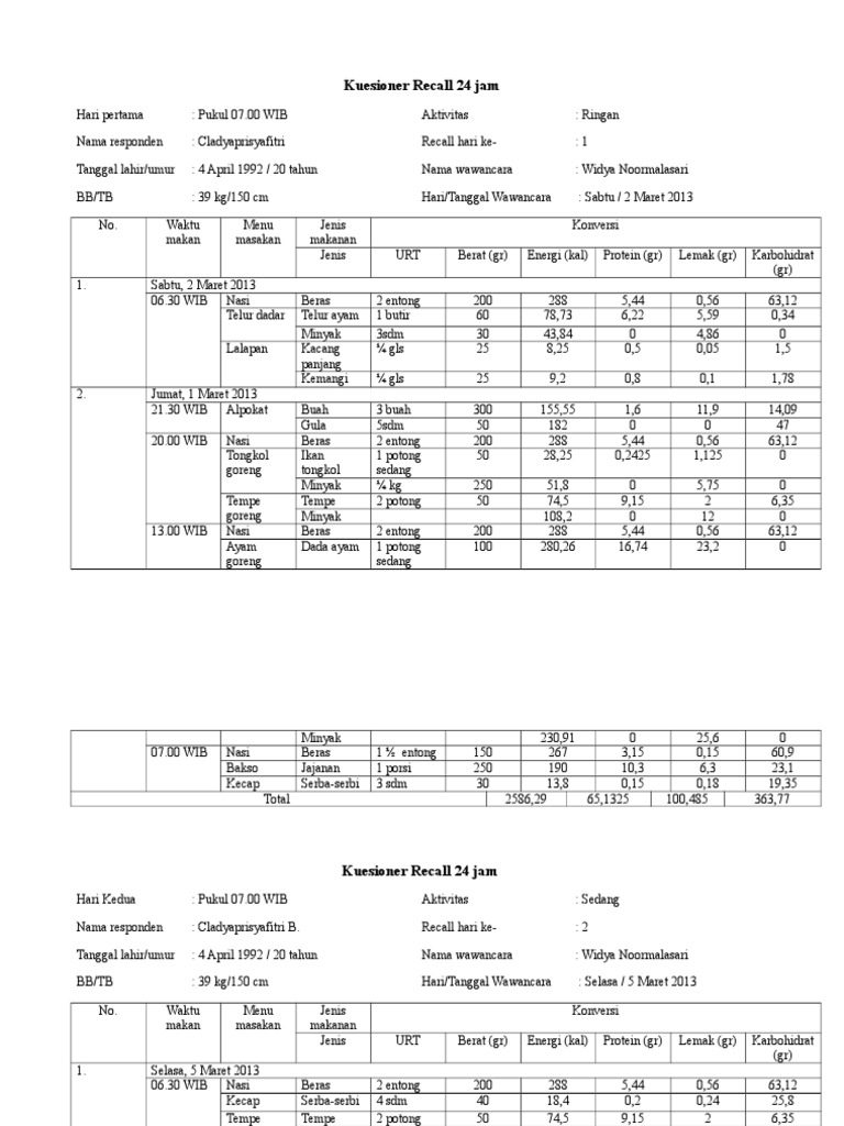 Kuesioner Recall 24 Jam | PDF