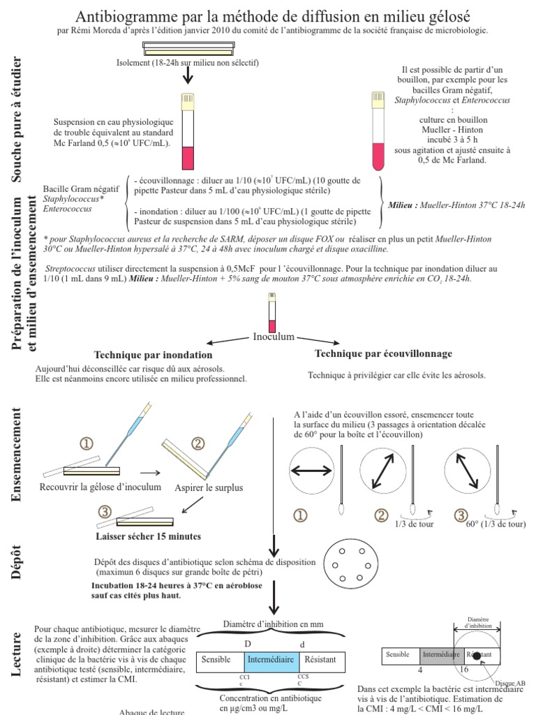 Protocole d'antibiogramme par diffusion | PDF | Staphylococcus ...