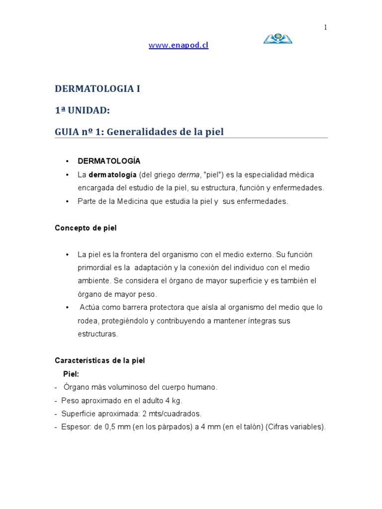 Guia 1, - Generalidades de La Piel - I Unidad | PDF | Piel | Epidermis