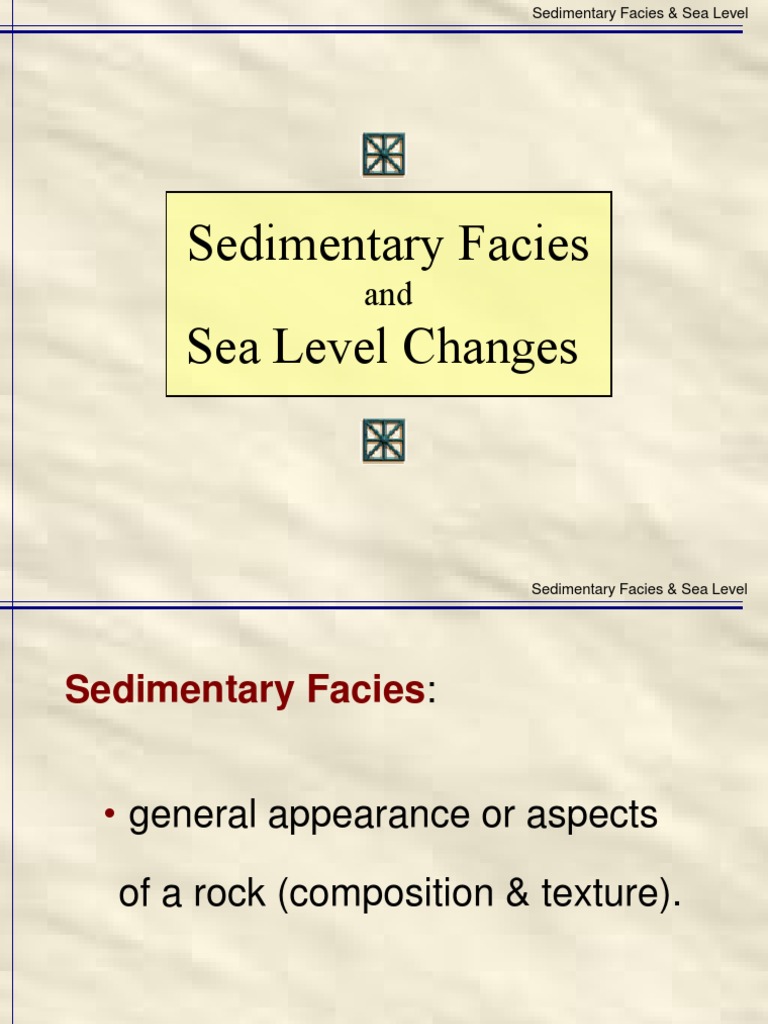 Sedimentary Facies | PDF | Sedimentary Rock | Petrology