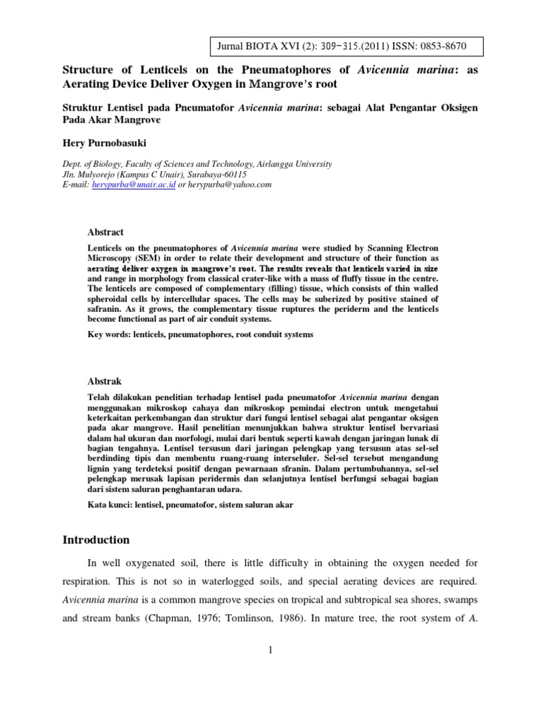 Structure of Lenticels On The Pneumatophores of Avicennia Marina: As ...