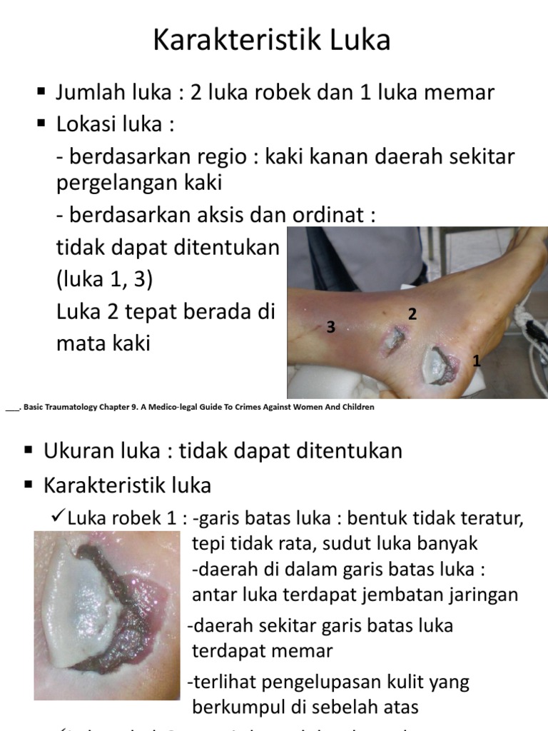 Penjelasan Karakteristik Luka | PDF